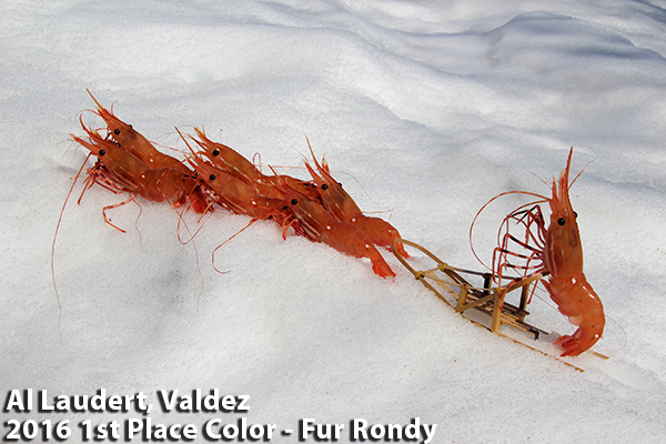 Al Laudert 1st Place Color Fur Rondy – Midtown Mall